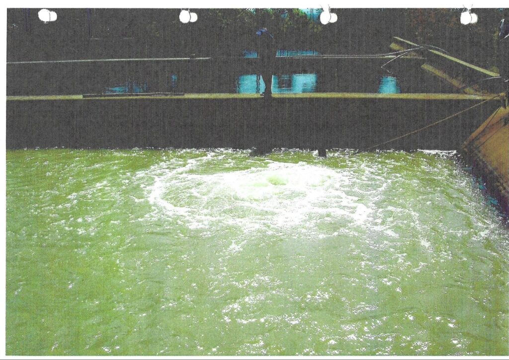 Science – Use Poco to grow crop and clean water